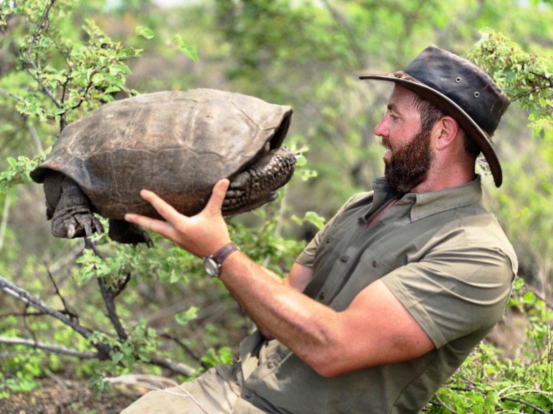 This Extinct Species Of Giant Tortoises Just Came Back To Life