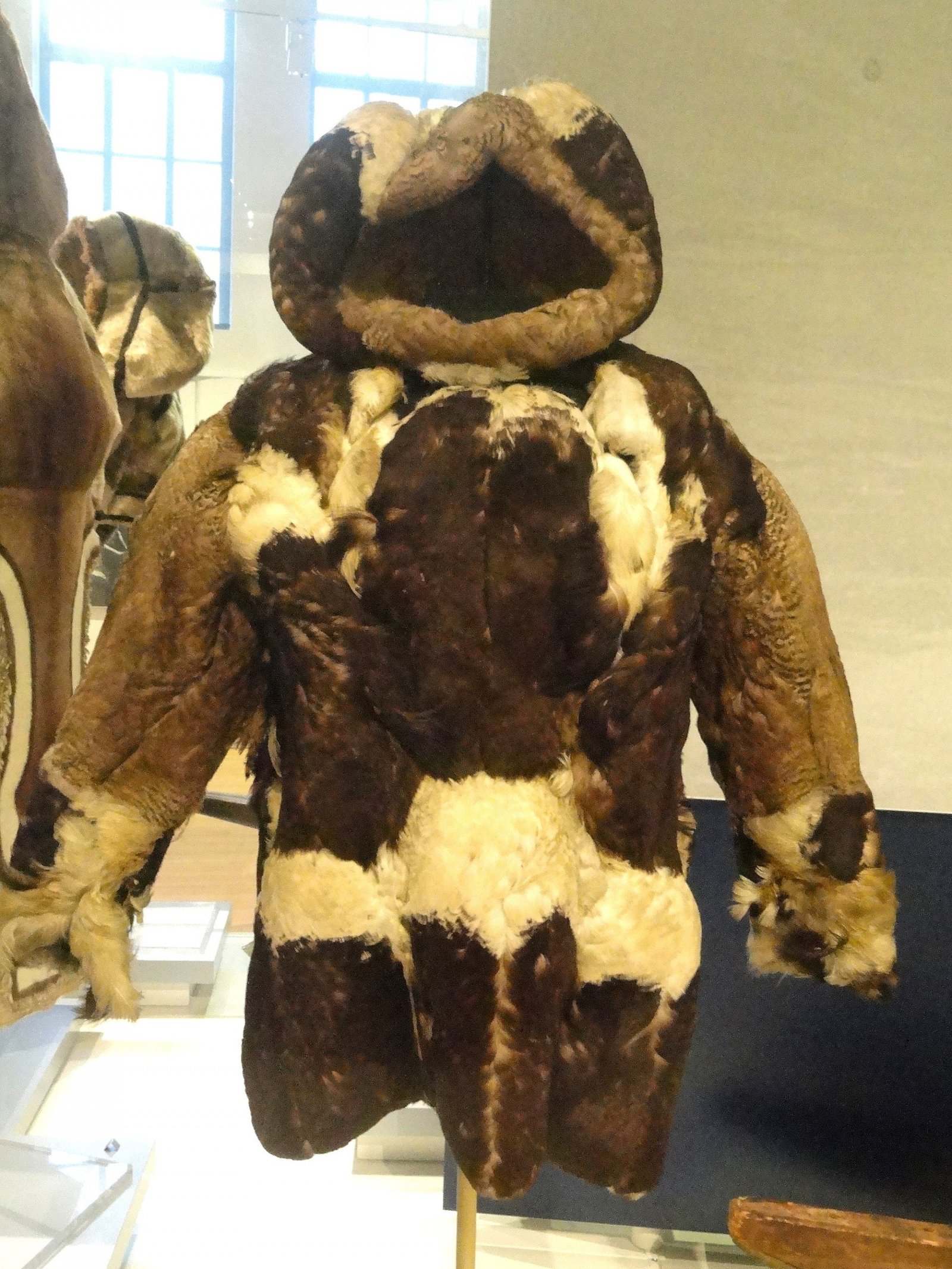 Why Are Eider Duck Feathers Worth Thousands Of Dollars? - Yodoozy®