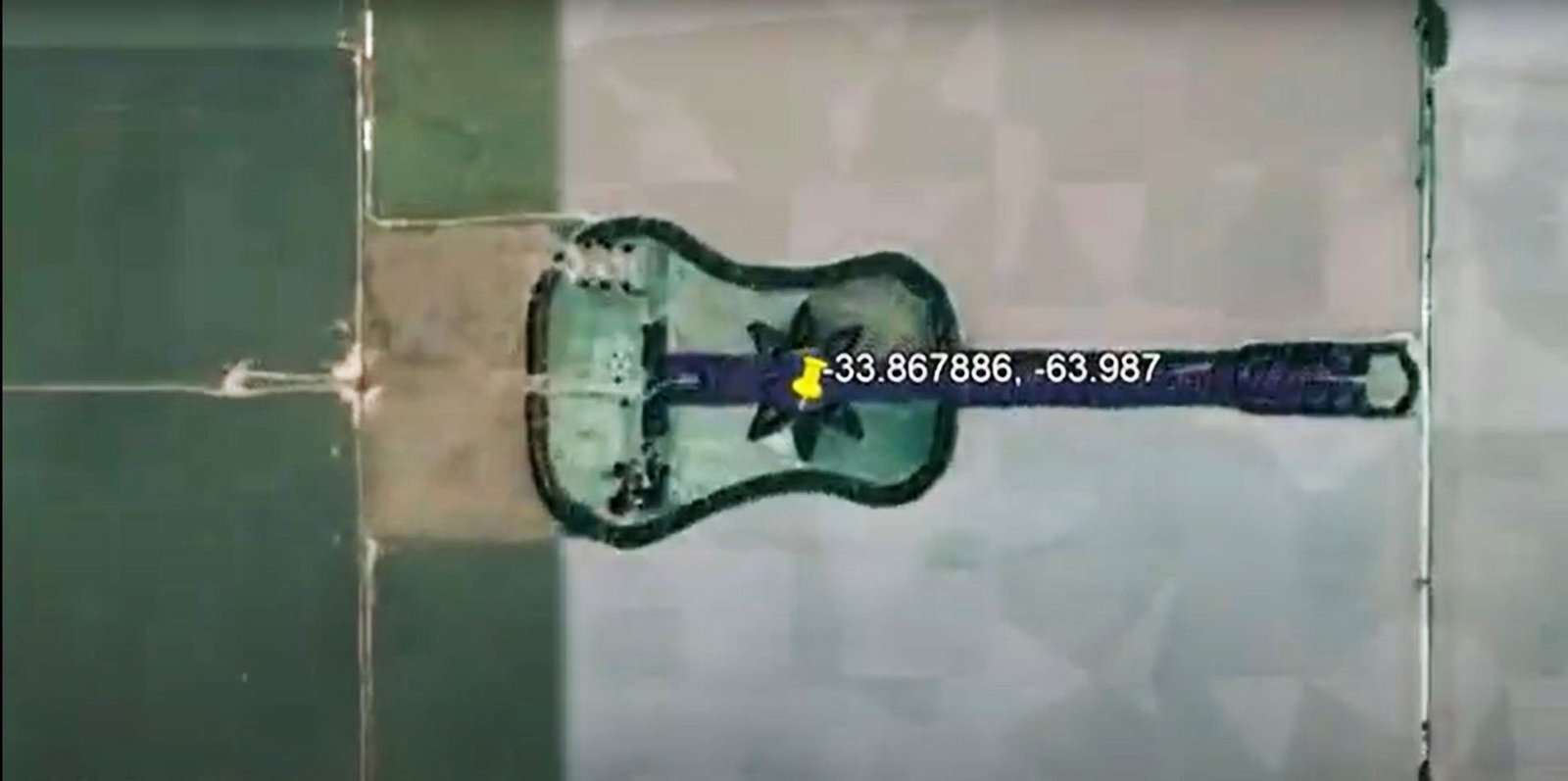 This Man Built A Guitar-Shaped Forest For His Wife - Yodoozy®